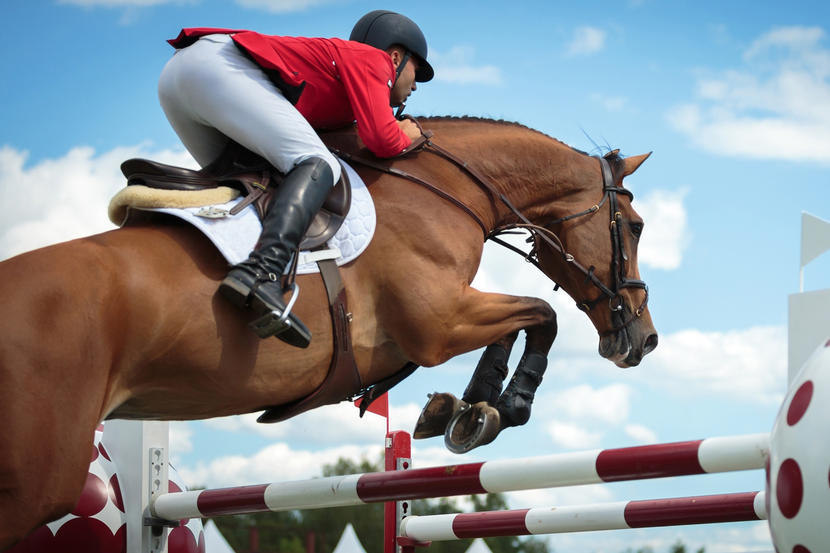 Best Places To Try Horse Riding In The UAE Sport Wellbeing Time Best Places To Try Horse Riding In The UAE Sport Wellbeing Time